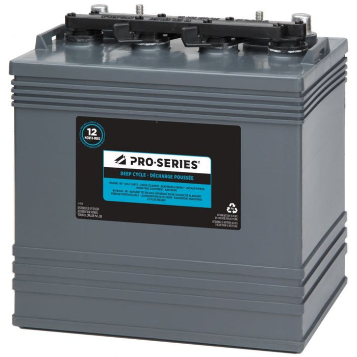 MP-GC8 Pro-Series Commercial Group Size GC8 8-Volt Deep Cycle Battery ...