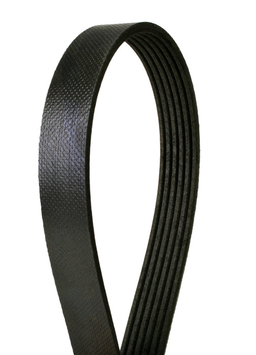 4060477F Continental Serpentine Belt — Partsource